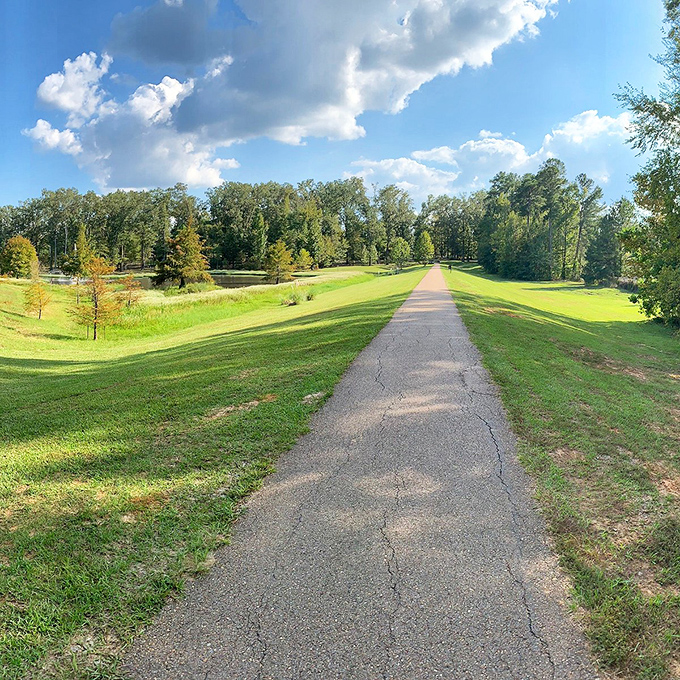 Sunlight filtering through trees on Flowood's community paths &ndash; nature's perfect lighting for making meaningful connections.