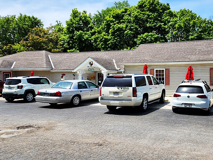 Jordan's Country Diner: Near Lake Erie's shores, this unassuming spot serves the kind of comfort food that makes you want to adopt the chef as family.
