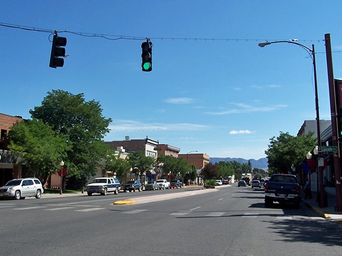 The tree-lined neighborhoods of Montrose prove that mountain views and affordable living can coexist—even on a fixed income.