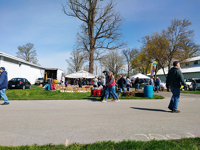 Morning light bathes Tiffin's market in golden hues as early birds hunt for treasures before the crowds arrive.Add to Conversation