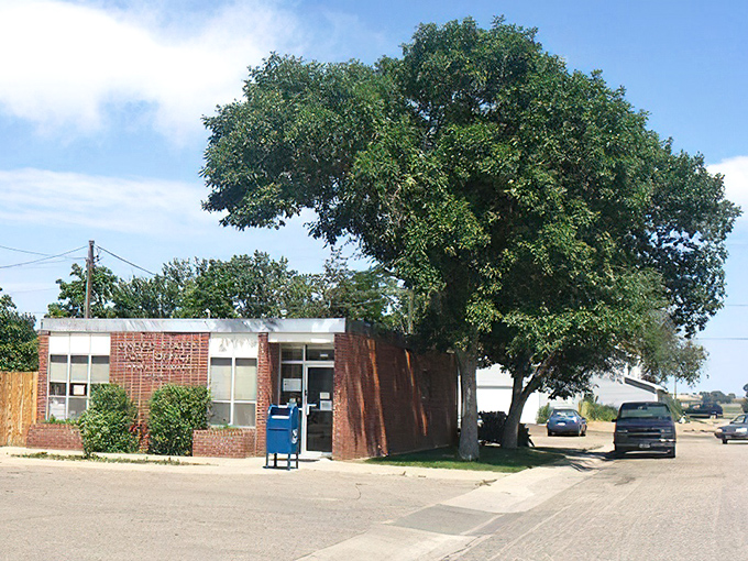 Small-town charm preserved just a stone's throw from bigger cities – Timnath keeps it real while the world rushes by.