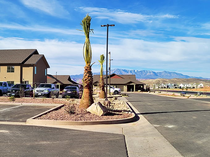 Those palm trees aren't just for show &ndash; they're Washington's way of saying "Yes, winters here are that mild!"