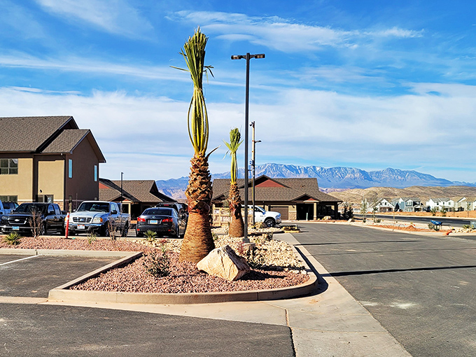The contrast between Washington's tidy neighborhoods and wild desert mountains creates a living landscape painting.