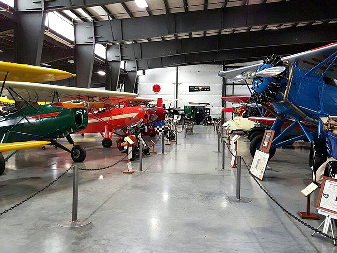 A rainbow of meticulously restored vintage aircraft stands ready for flight, each propeller telling tales of aviation's romantic golden age.