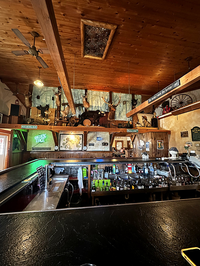 A bar that tells stories without saying a word. Those mounted trophies have witnessed generations of celebrations, first dates, and "just because" dinners.