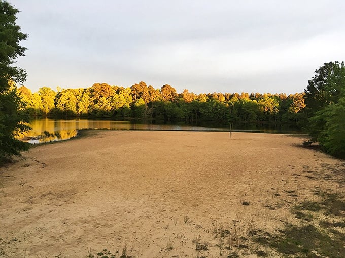 As the sun sets over Columbus's waterways, even the birds pause to appreciate the spectacle. Nature's light show requires no admission fee. 