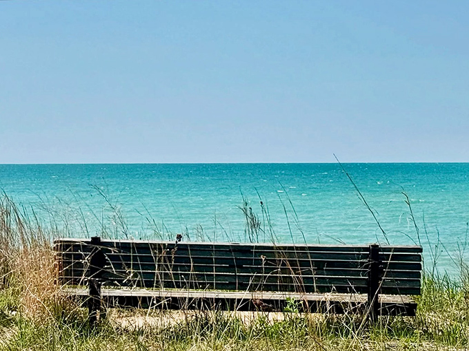 The best seat in Indiana, no reservations required. This weathered bench offers front-row tickets to Lake Michigan's ever-changing moods and magnificent horizons.