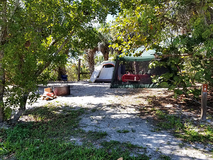 Camping with a side of paradise. Site #8 doesn't come with room service, but the stargazing ceiling can't be beat.
