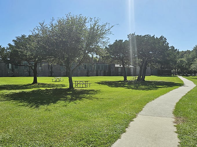 Palm trees stand sentinel around Atalaya's courtyard, their silhouettes echoing the castle's watchtower against the brilliant blue sky.