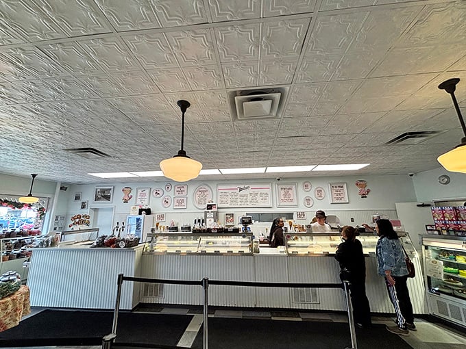 Behind this counter, magic happens daily. The display case is where dreams and diet plans go to battle. 