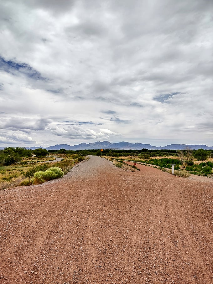 Desert trails stretch toward distant mountains, promising adventures where the only traffic is the occasional roadrunner or jackrabbit.