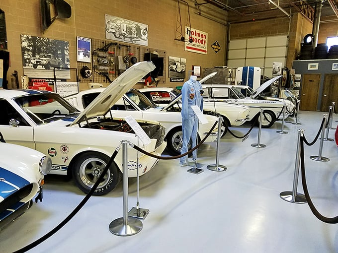 White Cobras lined up like expensive dental work, each one representing the American dream wrapped in British styling and V8 attitude.