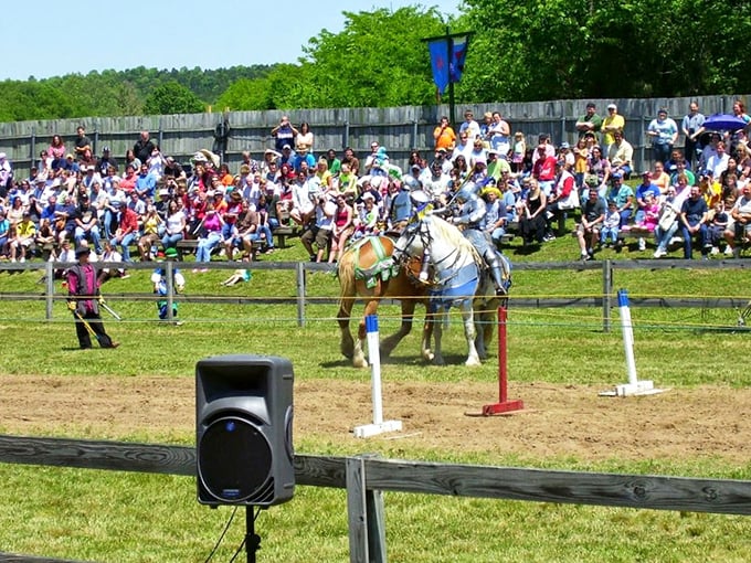 Jousting tournaments showcase the athletic prowess and pageantry of medieval competitions, with horses and riders performing centuries-old battle techniques.