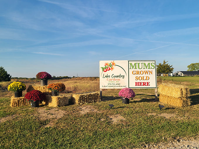 Fall in Perry brings vibrant mums and golden fields – a seasonal backdrop that makes antiquing expeditions feel like scenes from a country song.