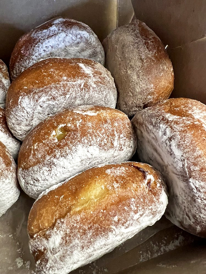 Powdered sugar donuts huddled together like they know they're too good for this world and might not last the afternoon.