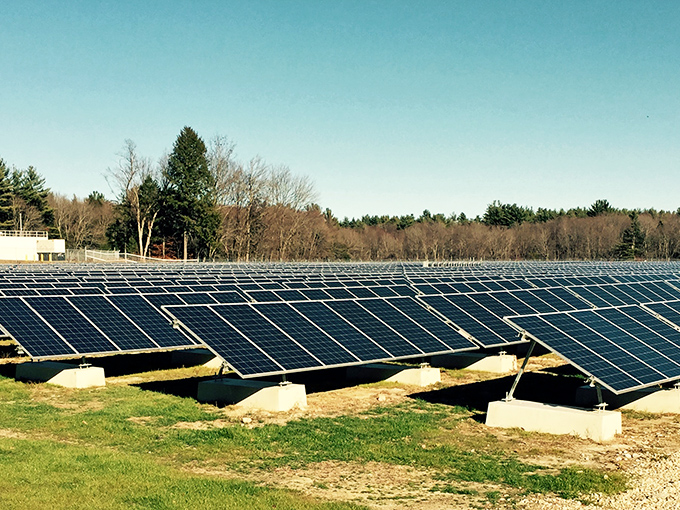 Peterborough embraces both history and future &ndash; these solar panels power the town while the timeless forest stands guard in the background.