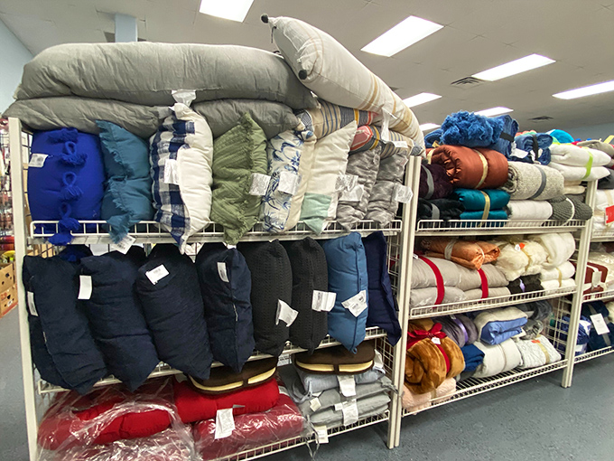 Bedding bonanza! These comforters and pillows promise cozy desert nights without the luxury linen store sticker shock.