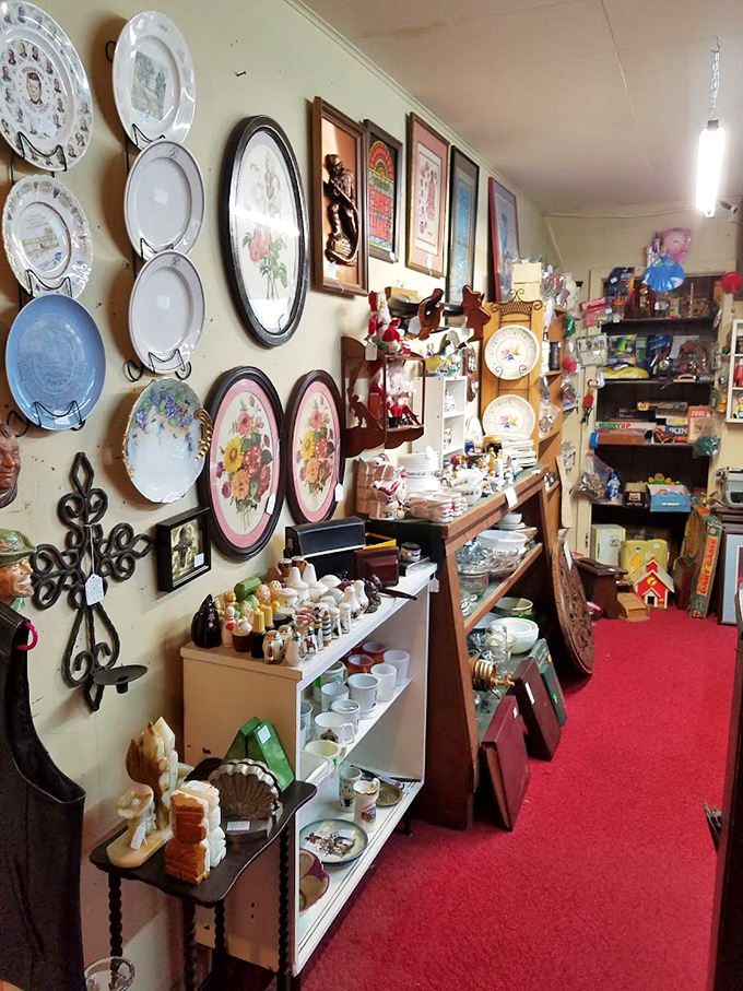 Wall-to-wall nostalgia! These decorative plates aren't just for looking at—they're portals to bygone eras when walls did more than hold up ceilings.