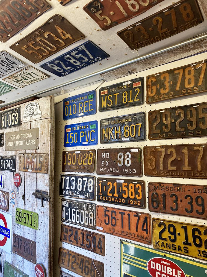 A wall of automotive history where license plates from across America create a rusty, stamped-metal tapestry of road trips and registration fees.