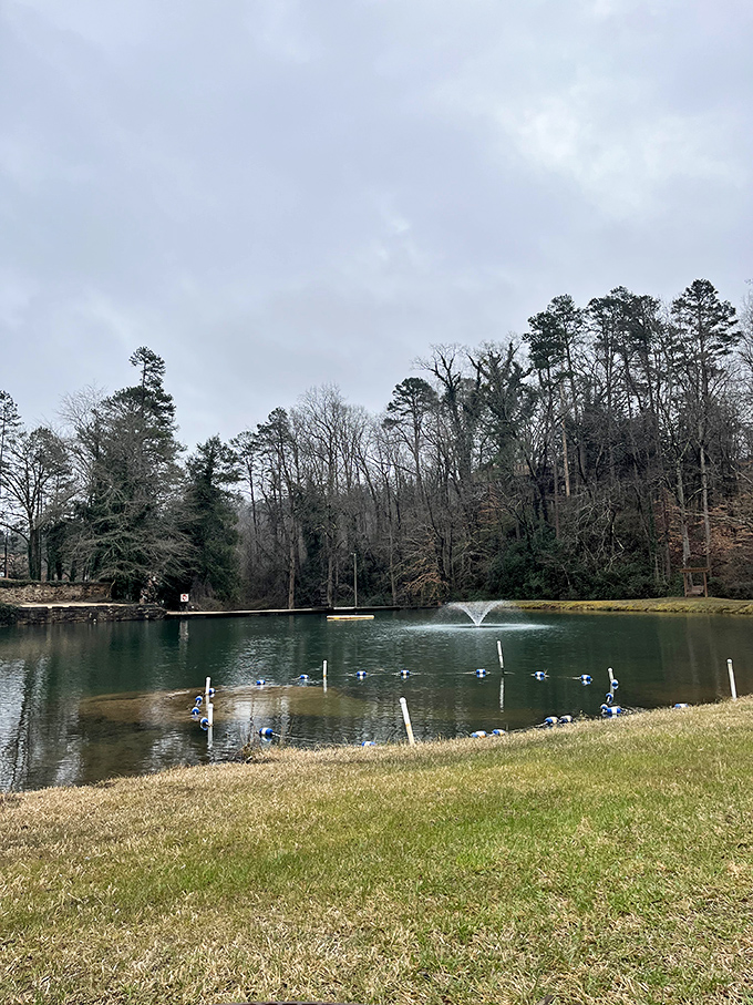 A peaceful campus pond offers a moment of reflection before or after experiencing the falls' dramatic plunge.