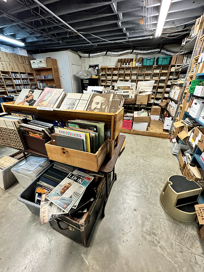 Even vinyl records find sanctuary here, proof that this temple of nostalgia extends beyond the printed word. Album art as literature.