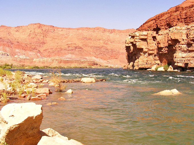 The lifeblood of the desert—this river carves its path through red rock walls with the patience only water can afford.