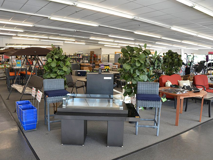 Patio furniture and plants create instant backyard vibes. One stop and you're suddenly the neighbor with the enviable outdoor entertaining space.