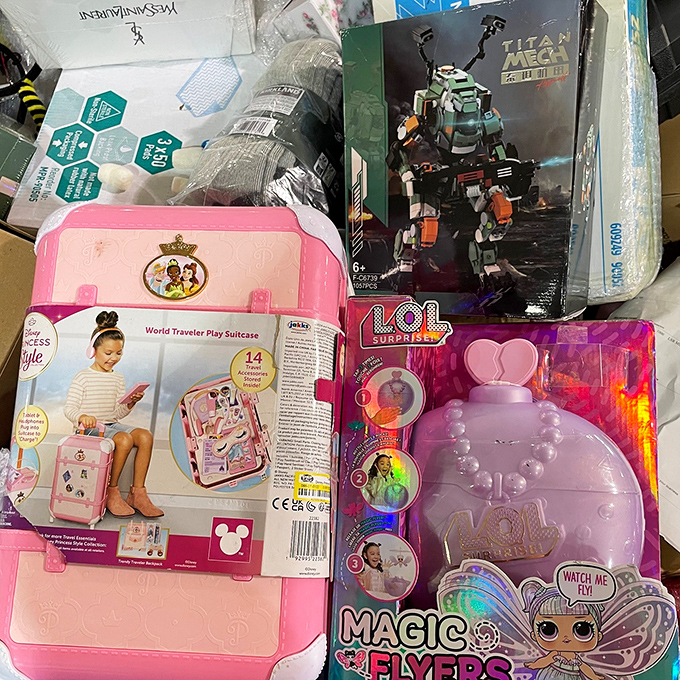 Disney princesses sharing bin space with LEGO robots—it's like the toy crossover event Netflix hasn't greenlit yet.