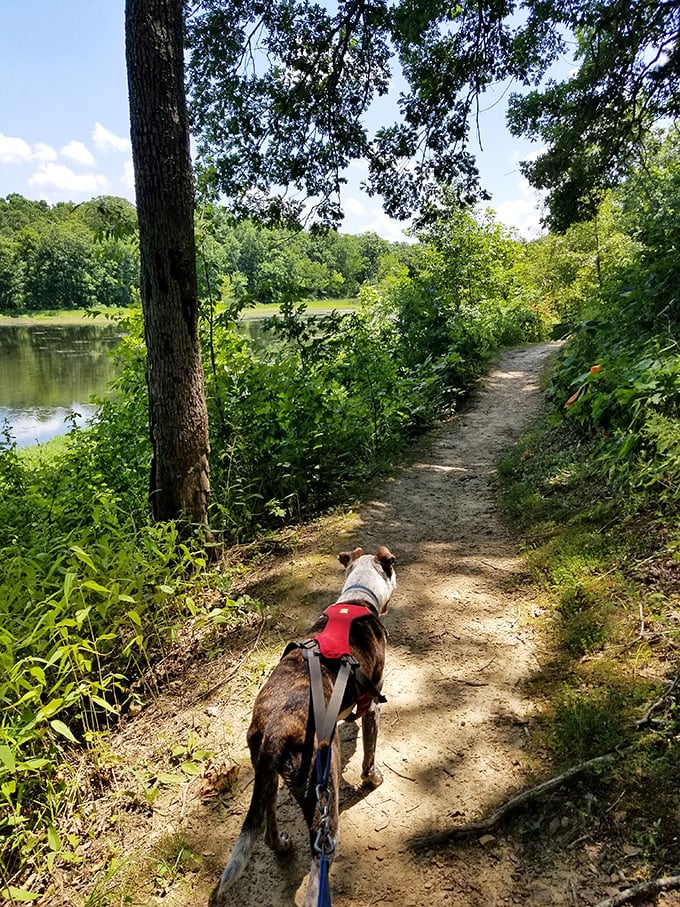 Peaceful trails wind along tranquil waters – nature's stress-reduction program with no monthly membership fees or complicated equipment required.