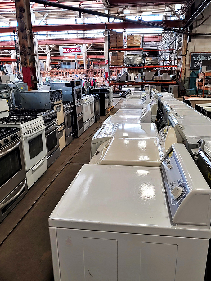 Kitchen appliances standing at attention, a regiment of white goods ready to deploy to your home renovation battlefield.