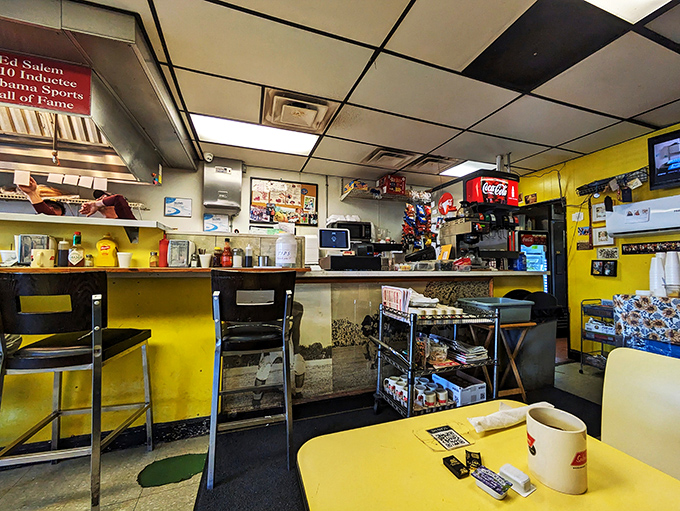 The command center where breakfast dreams come true. That yellow counter has witnessed more miraculous transformations than a superhero phone booth.
