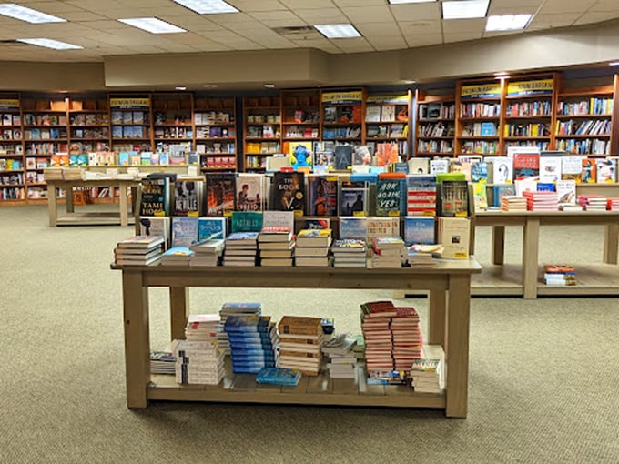 Shelves overflowing with endless stories await as you wander through this cozy bookstore, discovering your next favorite read among the stacks.