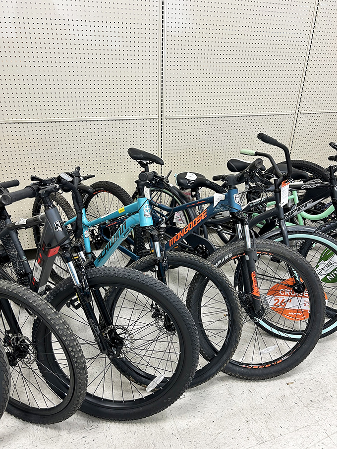 Mountain bikes lined up like eager puppies waiting for adoption, each one ready to hit the trails with its new owner at a fraction of retail cost.