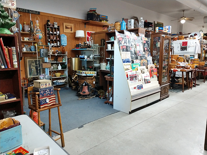 A patriotic corner where Americana thrives, from vintage postcards to political memorabilia that survived dozens of election cycles intact.