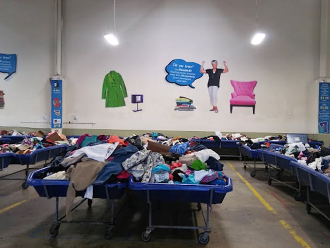 The wall displays offer a more organized shopping experience for those who prefer not to dive into bins. Retail for the faint of heart.