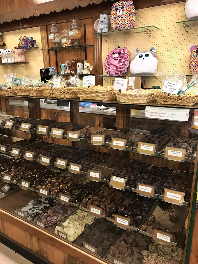 The candy display that launched a thousand "I'll just have one piece" promises no one has ever kept.