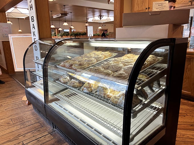 The bakery display case&mdash;or as I call it, "The Museum of Delicious Possibilities." Each shelf offers edible treasures more valuable than gold.