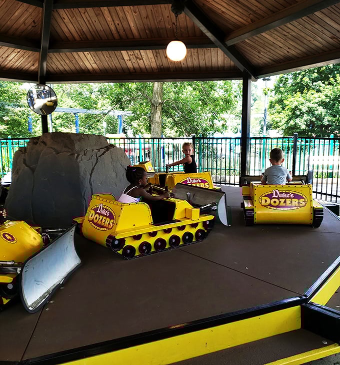 A waterfall oasis where Duke the Dragon keeps watch, proving that mythical creatures appreciate a good landscaping job as much as we do.