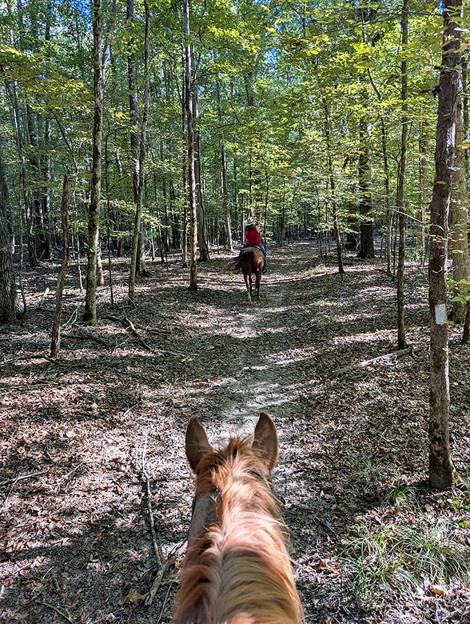 Horseback riding through dappled sunlight &ndash; when "getting back to nature" meets "living your best cowboy fantasy."