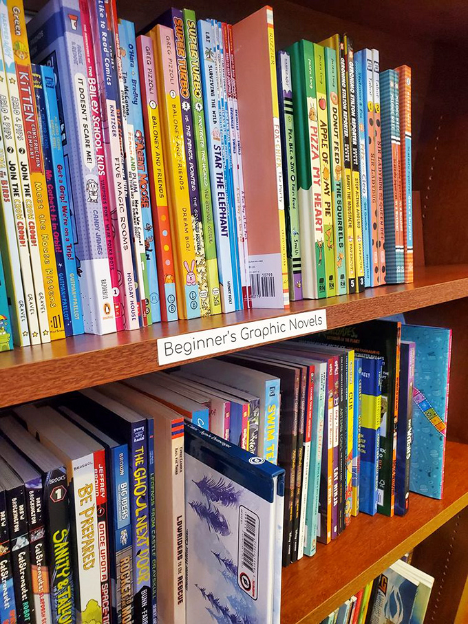 Beginner's graphic novels: where reluctant readers discover that stories come in all formats, and literary adventures don't require massive word counts.