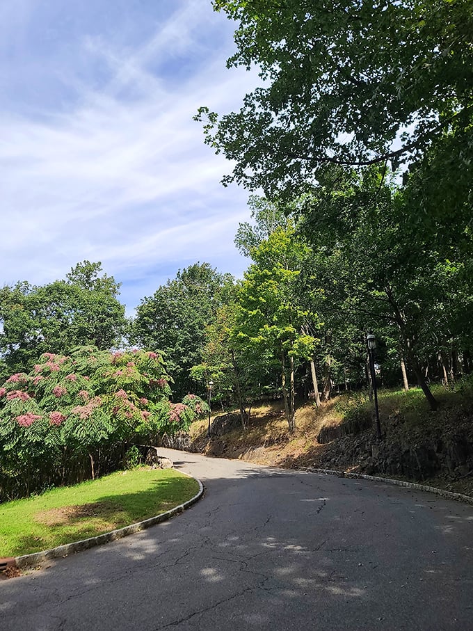 The winding approach to the castle builds anticipation with each curve, like the opening sequence of a fairy tale come to life.