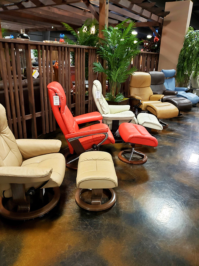 The recliner gallery: where shoppers involuntarily make that "ahhh" sound when they sit down, and salespeople pretend not to notice.