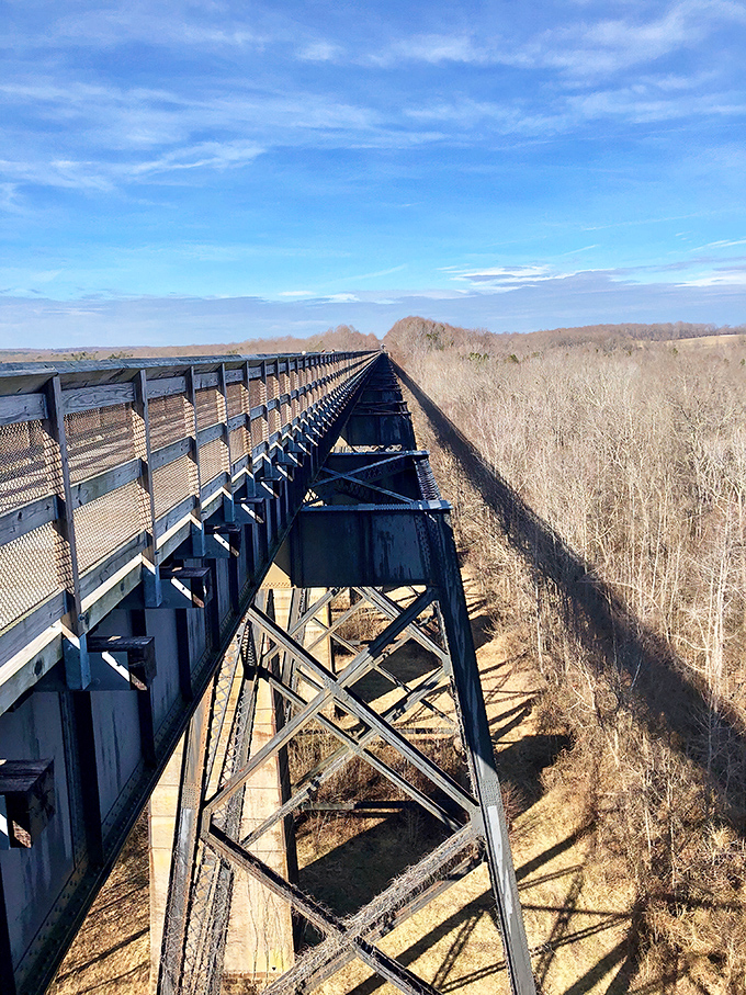Winter reveals the trail's bones, offering a stark beauty that summer hikers miss—like seeing your favorite restaurant with the lights fully on.