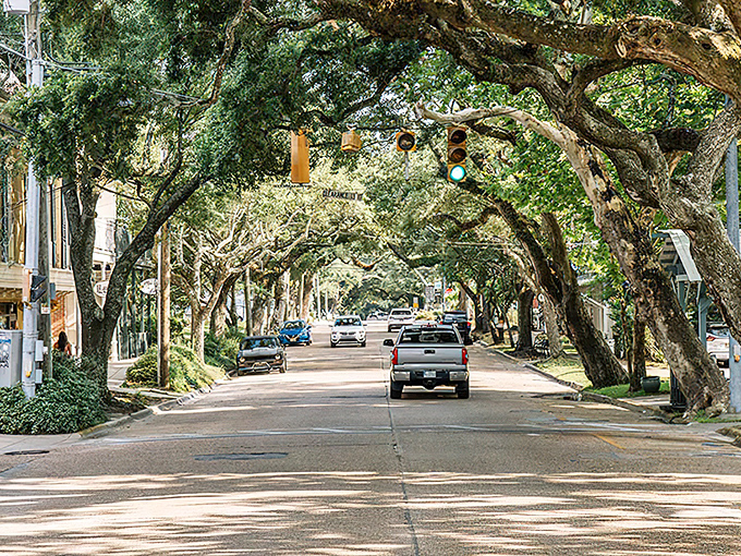 Ocean Springs' oak-canopied streets create natural tunnels of shade. Artistic community vibes without artistic community costs.