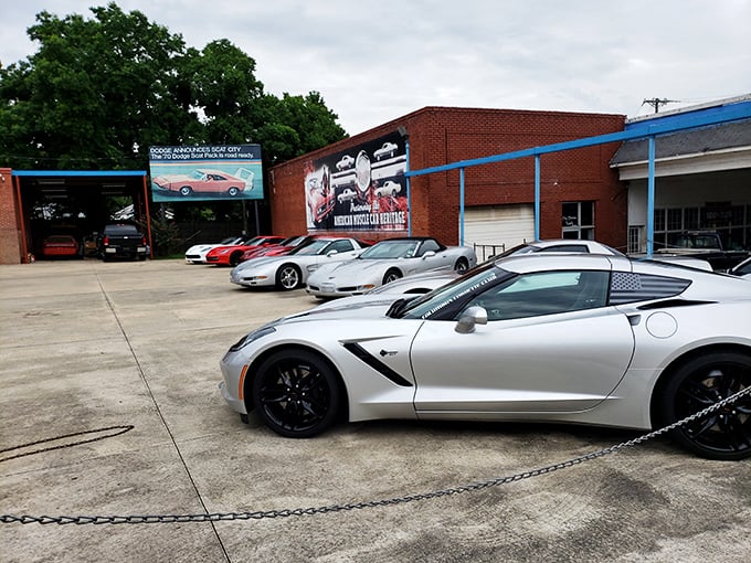Modern Corvettes prove that American performance evolution continues, bridging classic muscle with contemporary engineering excellence and style.