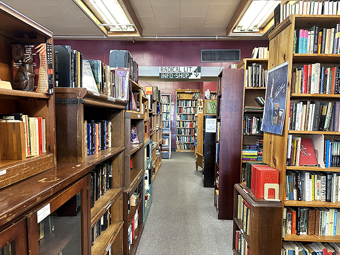 Rich burgundy walls frame passageways to specialized collections. That "Radical Lit" sign promises books your high school tried to keep from you.
