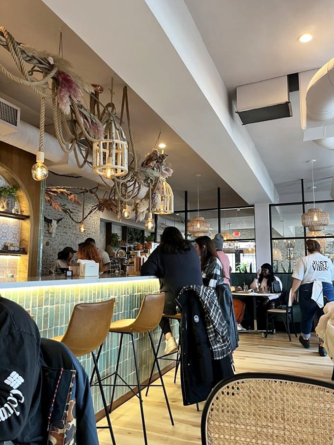 The bar area's hanging lights and botanical touches create the rare breakfast spot where you might accidentally solve life's great mysteries.