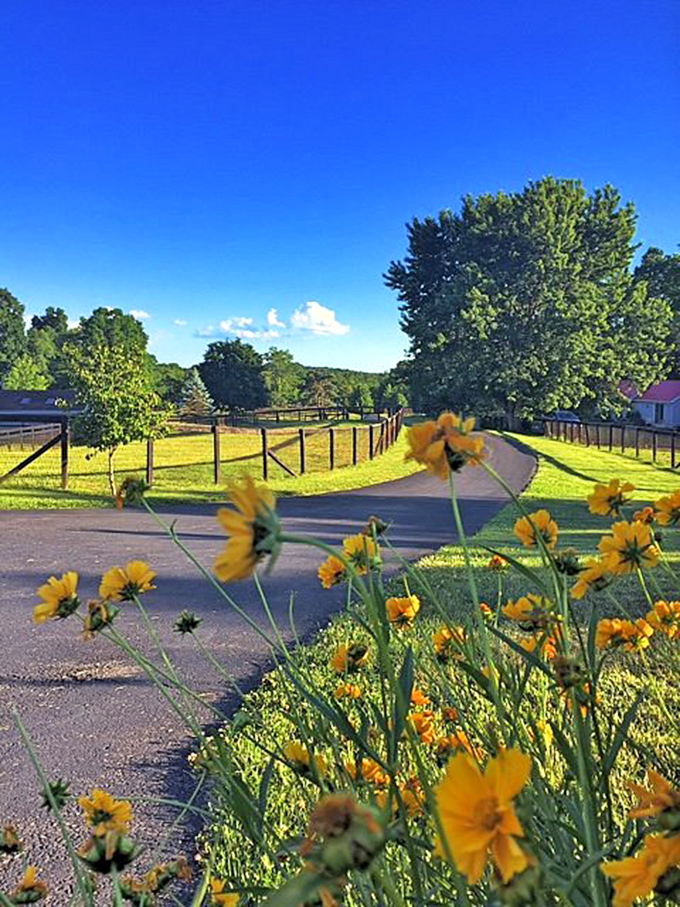 Country roads and wildflowers create the kind of scene that makes you want to ditch city life permanently for Hudson Valley's gentler rhythms.