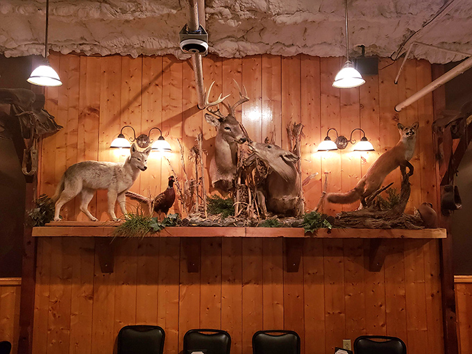 The taxidermy display isn't just decoration&mdash;it's a reminder that you're in Kansas, where hunting stories are as plentiful as the portions.