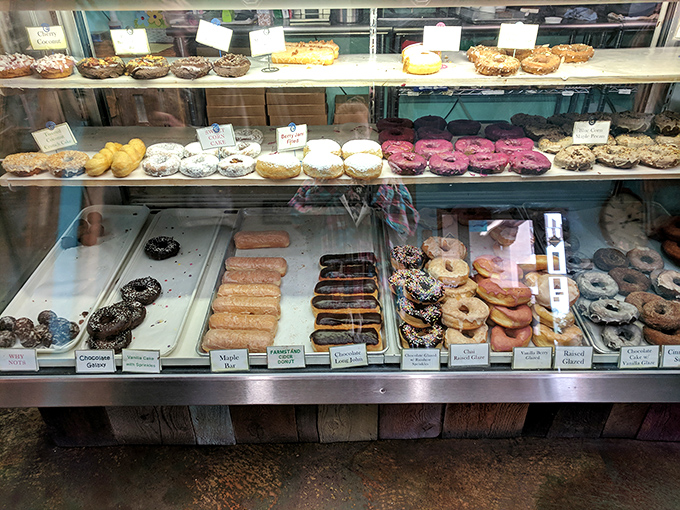 The display case&mdash;a museum of edible art where each donut deserves its own tiny spotlight and descriptive plaque. "Maple Bacon, circa Thursday, mixed media."